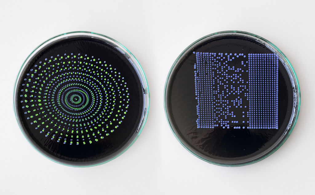 Arduino Robot | PlanetArduino