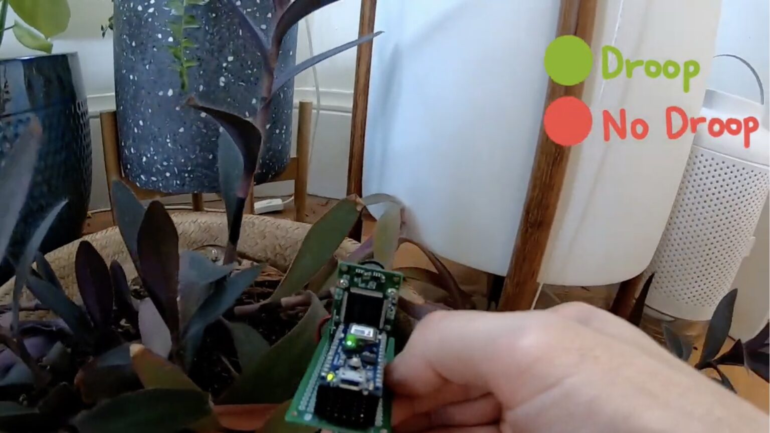 'Droop, There It Is!' is a smart irrigation system that uses ML to ...