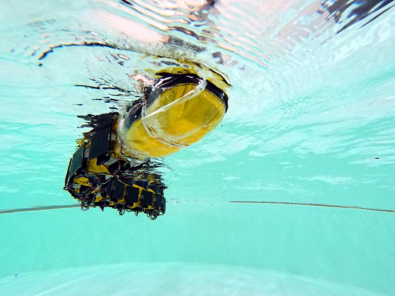 This strange robotic fish swims like a lamprey | Arduino Blog