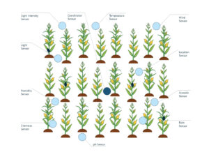 Sustainable transformation of agriculture with the Internet of Things