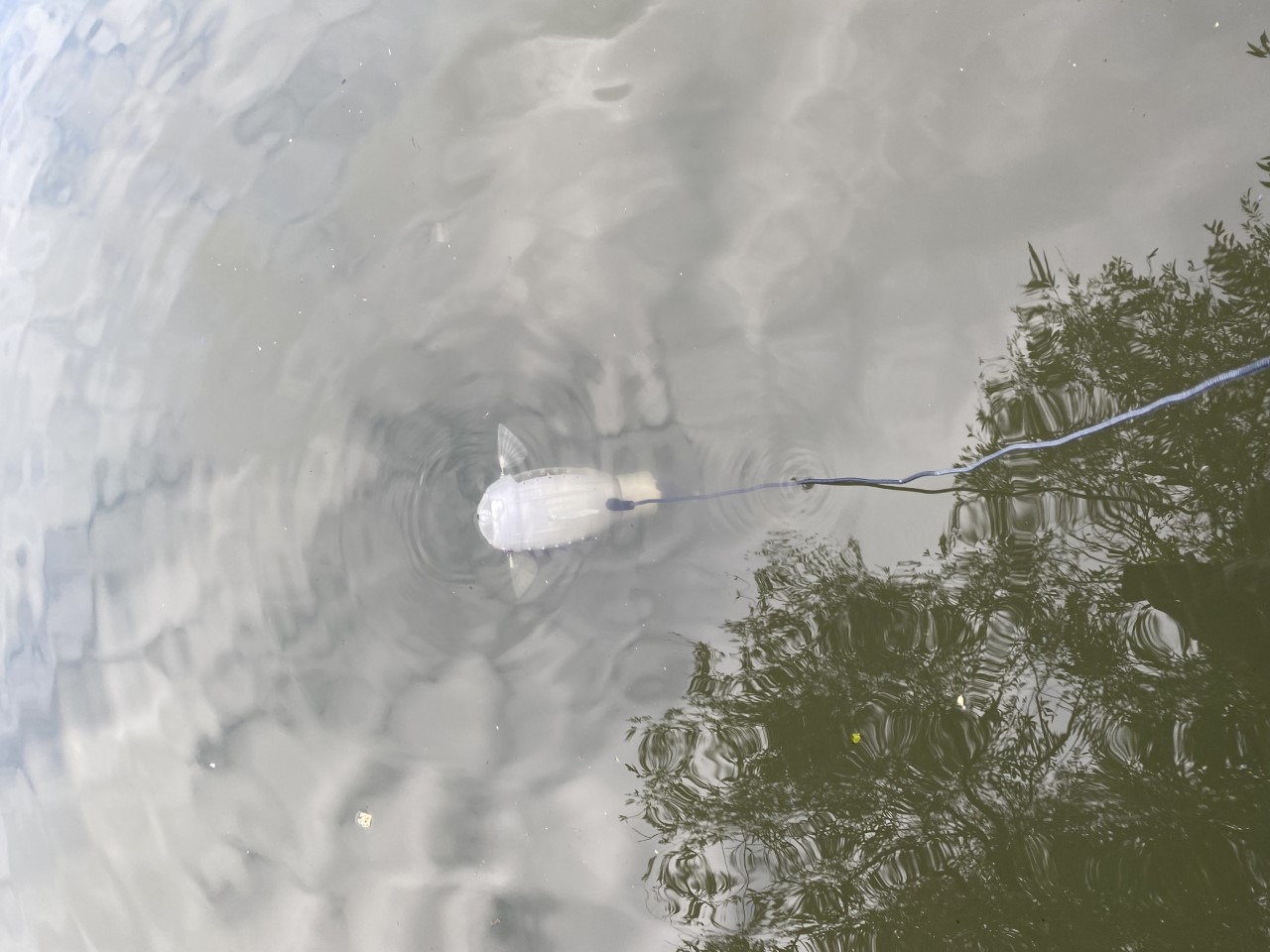Robo-fish filters microplastics like a whale with krill | Arduino Blog