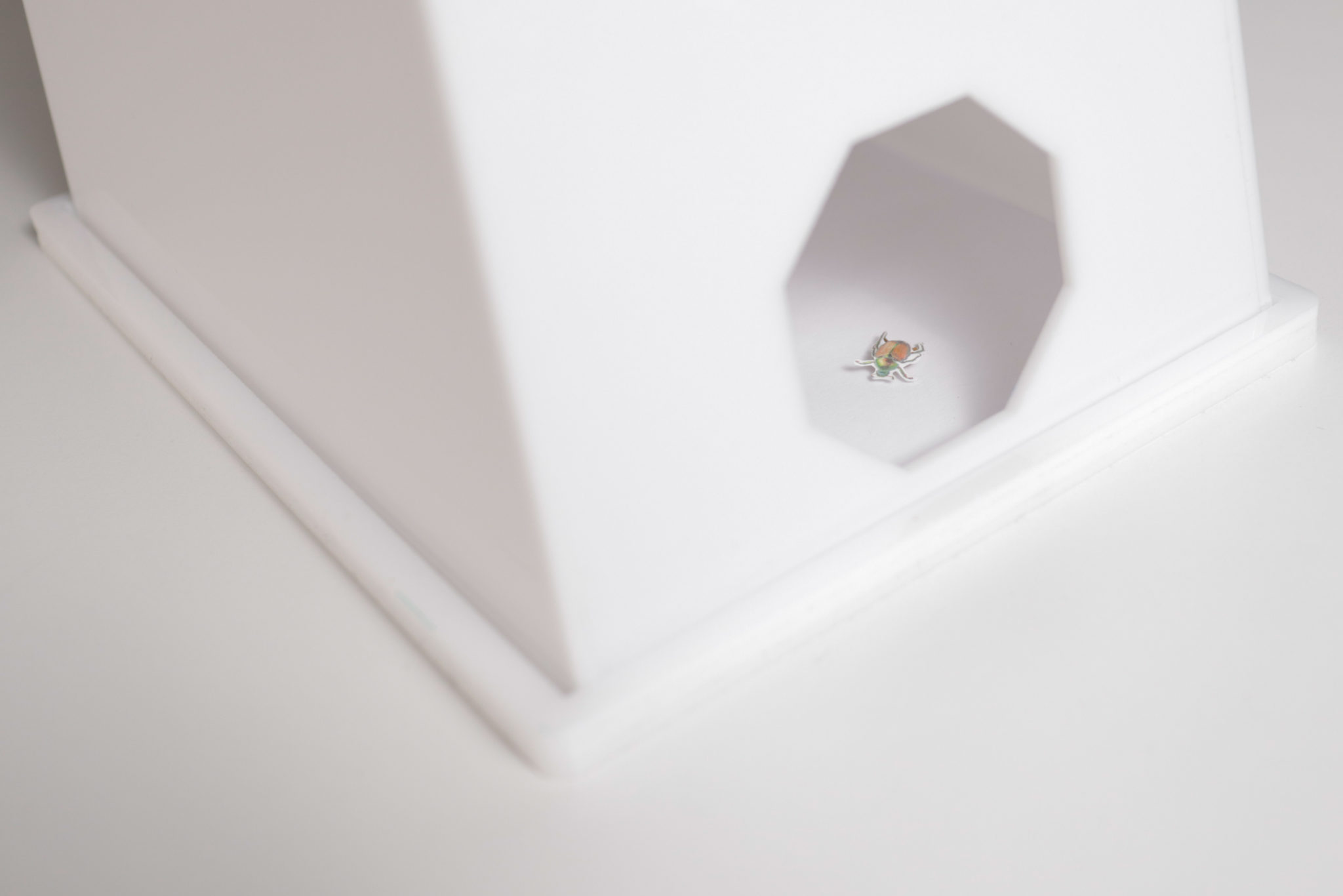 Vineyard pest monitoring with Arduino Pro | Arduino Blog