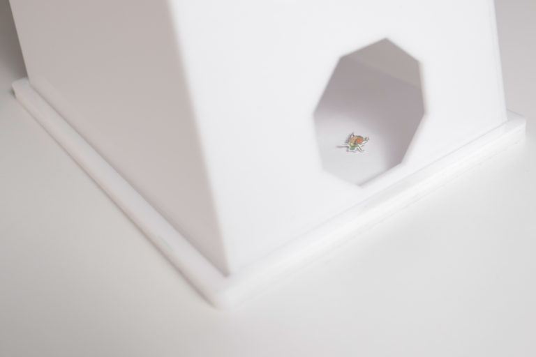 Vineyard pest monitoring with Arduino Pro | Arduino Blog