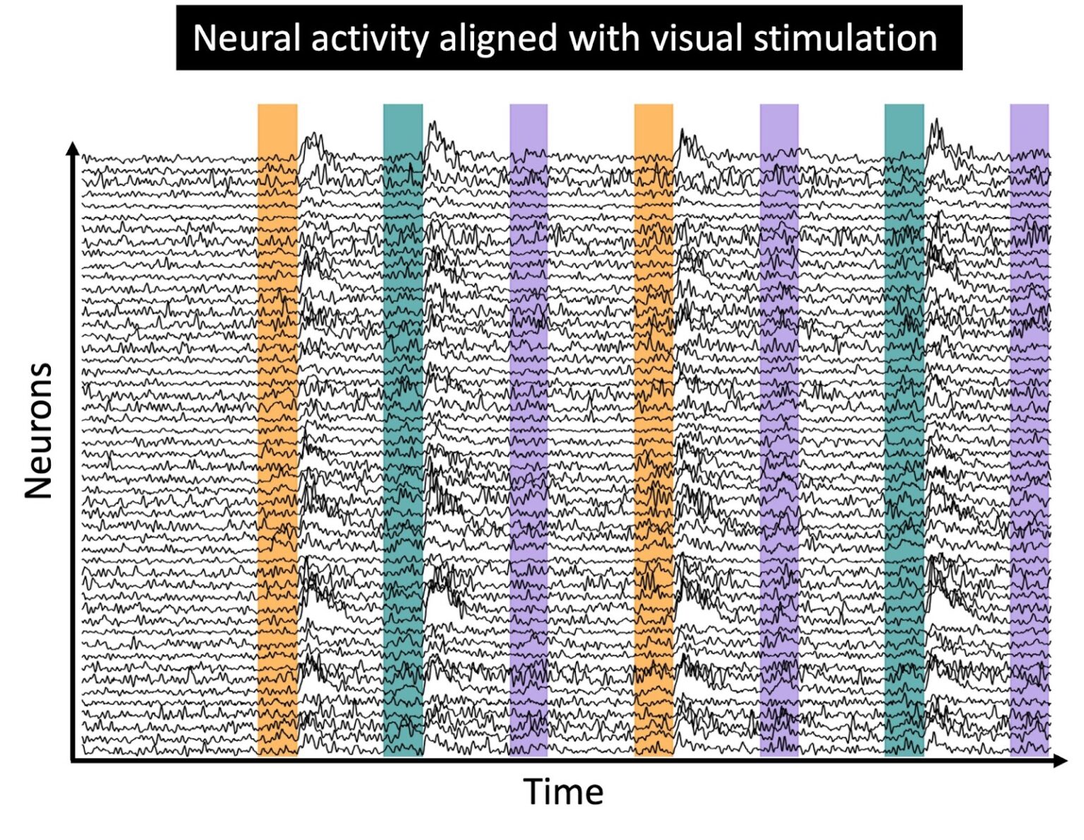 Using Arduino UNO to sync a visual neuroscience lab | Arduino Blog